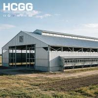 China Steel Structure Poultry House engineered to provide space utilization and robust structural support for intensive poultry farming needs for sale