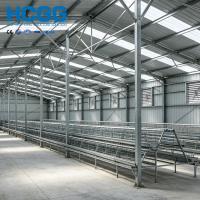 China Steel Structure Poultry House engineered to provide space utilization and robust structural support for intensive poultry farming needs for sale