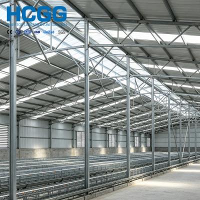 China Steel Structure Building ideal for constructing warehouses distribution centers and logistics hubs with space utilization for sale