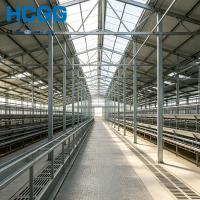 China Steel Structure Poultry House Designed to Support Automated Feeding and Watering Systems Enhancing Operational Efficiency for sale