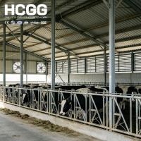 China Steel Structure Poultry House Designed to Support Automated Feeding and Watering Systems Enhancing Operational Efficiency for sale