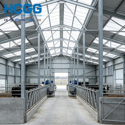 China Steel Structure Poultry House Designed to Support Automated Feeding and Watering Systems Enhancing Operational Efficiency for sale