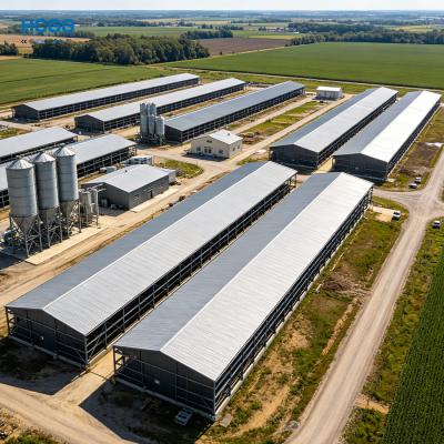 China Prefabricated Hot-Dip Galvanized Steel Structure Poultry House for sale