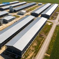 China Cost-Effective Modular Prefab Steel Warehouse for Factory & Agricultural Storage for sale