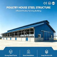 China Steel Structure Poultry House Featuring Space Design and Strong Steel Framework for Enhanced Poultry Production Capacity for sale