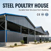 China Steel Structure Poultry House Featuring Space Design and Strong Steel Framework for Enhanced Poultry Production Capacity for sale