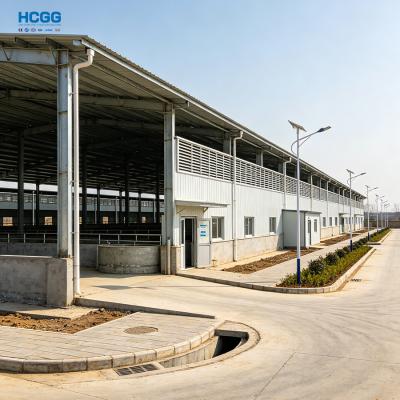 China Customizable Steel Structure Poultry House Durable Efficient Farm Building Design Construction Solutions for sale