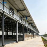 China Customizable Steel Structure Poultry House Durable Efficient Farm Building Design Construction Solutions for sale
