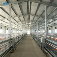 China Customizable Steel Structure Poultry House Durable Efficient Farm Building Design Construction Solutions for sale