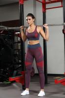 China High Impact Adjustable Straps Ladies' Sports Bra Seamless for sale