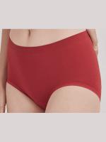 China Microfiber Seamless Ladies Hipster Briefs Breathable Quick Drying for sale