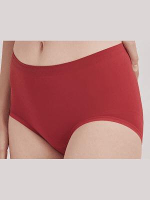 China Microfiber Seamless Ladies Hipster Briefs Breathable Quick Drying for sale