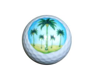 China range golf ball/ two piece golf ball/2PC Golf practice ball/golf ball for sale