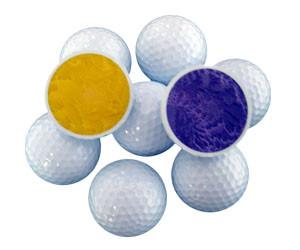 China range golf ball/ two piece golf ball/2PC Golf practice ball/golf ball for sale