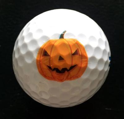 China Custom Logo Golf Balls High Visibility Durable 2-Piece Surlyn Cover 50 Compression for sale