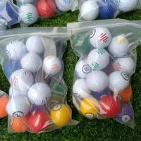 China Low Bounce Mini Golf Ball 2 Piece Set 16 Pcs for Putter Practice Billiard Ball for sale