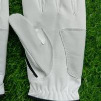 China Men's Sheepskin Cabretta Golf Glove with PU Palm for Enhanced Grip and Comfort for sale