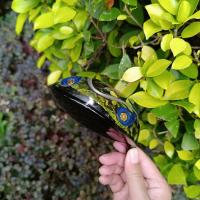 China golf driver , golf club driver , golf head ,  golf drivers ,  titanium golf driver for sale