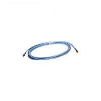 China Bently Nevada 3300 XL 8mm ETR Reverse Mount Probe 330196 M10x1 Thread 5m for sale