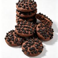 China All Ages Filling Snacks Chocolate Chip Cookies Outdoor Trip Mini Biscuits for sale