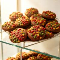China Kids Leisure Snacks Colorful Basic Chocolate Chip Cookies Office Pastries for sale