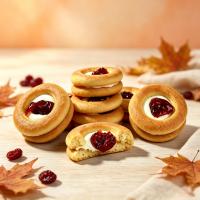 China Crispy Round Pastry Cranberry Mini Pizza Biscuits Halal Healthy Fruit Biscuit for sale