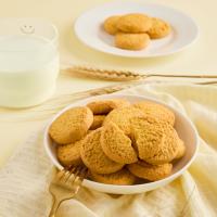 China Sweet But Not Greasy Butter Coconut Crispy Cookies No Trans Fat Slow Baking for sale