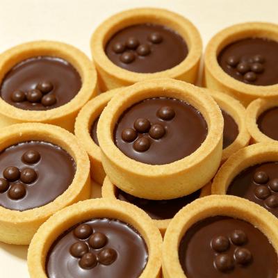 China Leisure Snack Cocoa‑Flavored Filled Cookies Moderate Sweet Taste for sale