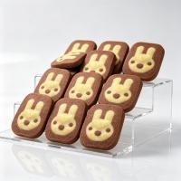 China Cute Cartoon Rabbit Shape Cute Bunny-Shaped Cookies (Cocoa Flavor) OEM ODM  for sale