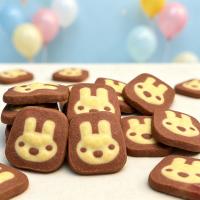 China Cute Cartoon Rabbit Shape Cute Bunny-Shaped Cookies (Cocoa Flavor) OEM ODM  for sale