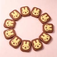 China Cartoon Shaped Biscuit Treats Cute Bunny-Shaped Cookies (Cocoa Flavor) Leisure Snack for sale