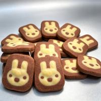 China Crispy Rich Chocolate Taste Cute Bunny Cocoa Cookies Kids Holiday Snack Gift for sale