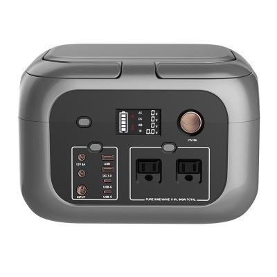 China Uninterupted power source portable pure sine wave inverter 600W for sale