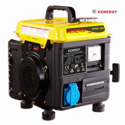 China 50HZ 60HZ 220V Super AVR variable frequency Generator 800W for bulb, fan, TV, refrigerator, computer ... for sale