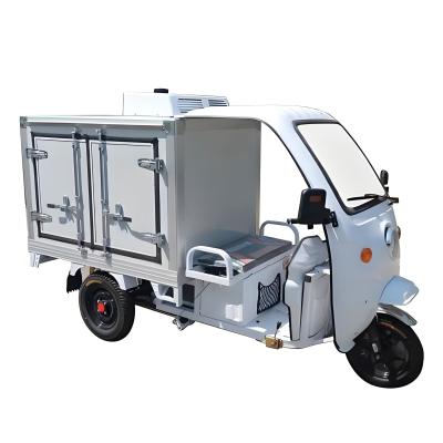 China Green Electric Refrigerated Tricycle with Small Wheels Solar Powered -18C Cold Chain Solution NEWBASE for Urban Logistics for sale