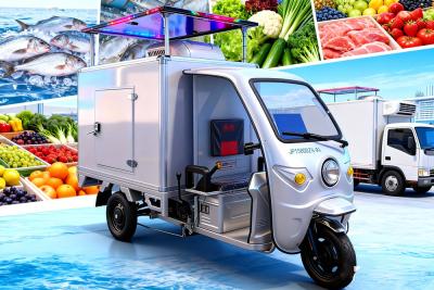 China Electric Refrigerated Vehicle Small Wheels Tricycle Solar-Powered -18C Cold Chain Transport Customization Support for sale