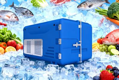 China Smart Portable Refrigerated Container with Direct Expansion Cooling System and Temperature Range -25°C To +25°C for 380V/50Hz Power Supply for sale