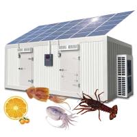 China Solar-Powered Off-Grid Mobile Cold Storage Unit for Reliable Temperature Control for sale