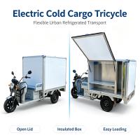 China NEWBASE Refrigerated Cargo Tricycle D2000 D2500 1180L 1280L 0C -20C DC Cold Chain Transport Vehicle for sale