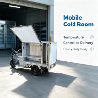 China NEWBASE Refrigerated Cargo Tricycle D2000 D2500 1180L 1280L 0C -20C DC Cold Chain Transport Vehicle for sale