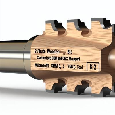 China 2 Flute Wooden Molding Bit For Customized OBM Support And CNC Machines for sale