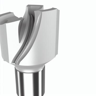 China Smooth Cutting 2 Flute Moulding Router Bits Customizable For CNC Machine for sale