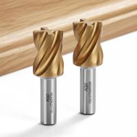 China 2 Flutes Moulding Router Bits with 1/4 Inch Shank for CNC Machines and OEM Customization for sale