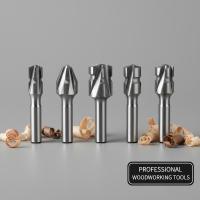 China CNC Machine Compatible Moulding Router Bits with 1/4 Inch Shank and 2 Flutes for Precision Woodworking for sale