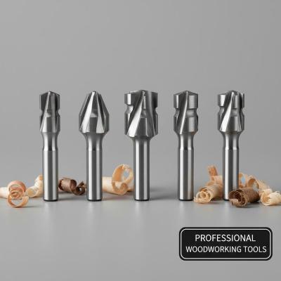 China CNC Machine Compatible Moulding Router Bits with 1/4 Inch Shank and 2 Flutes for Precision Woodworking for sale
