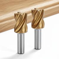 China 2 Flutes Moulding Router Bits with 1/4 Inch Shank for CNC Machines and OEM Customization for sale