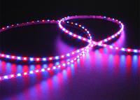 China SMD3210 RGB 3mm Wide Addressable LED Strip 150LEDs/M 5VDC for sale