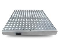 China Full Spectrum Horticulture LED Grow Lights For Indoor Agriculture Project for sale
