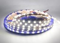 China Wide Beam Angle Multi Color Led Tape Light IP20 SMD5050 S Shape CE / RoHs Approval for sale