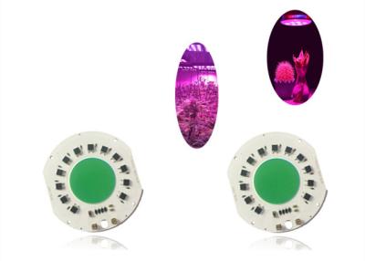 China Grow Tent Indoor 100W Full Spectrum COB Led Grow Light Chip 380-780nm for sale